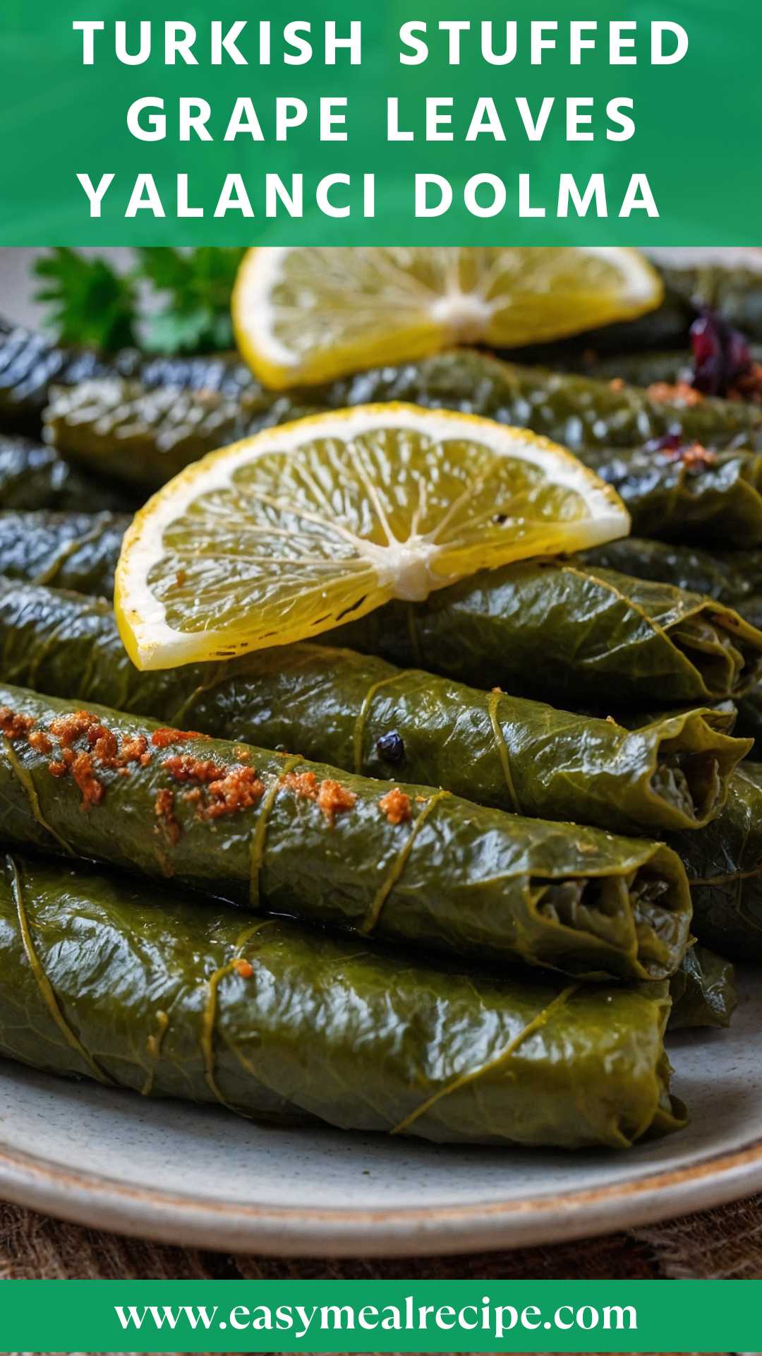 Turkish Stuffed Grape Leaves Yalanci Dolma Recipe - Easy Meal Recipe